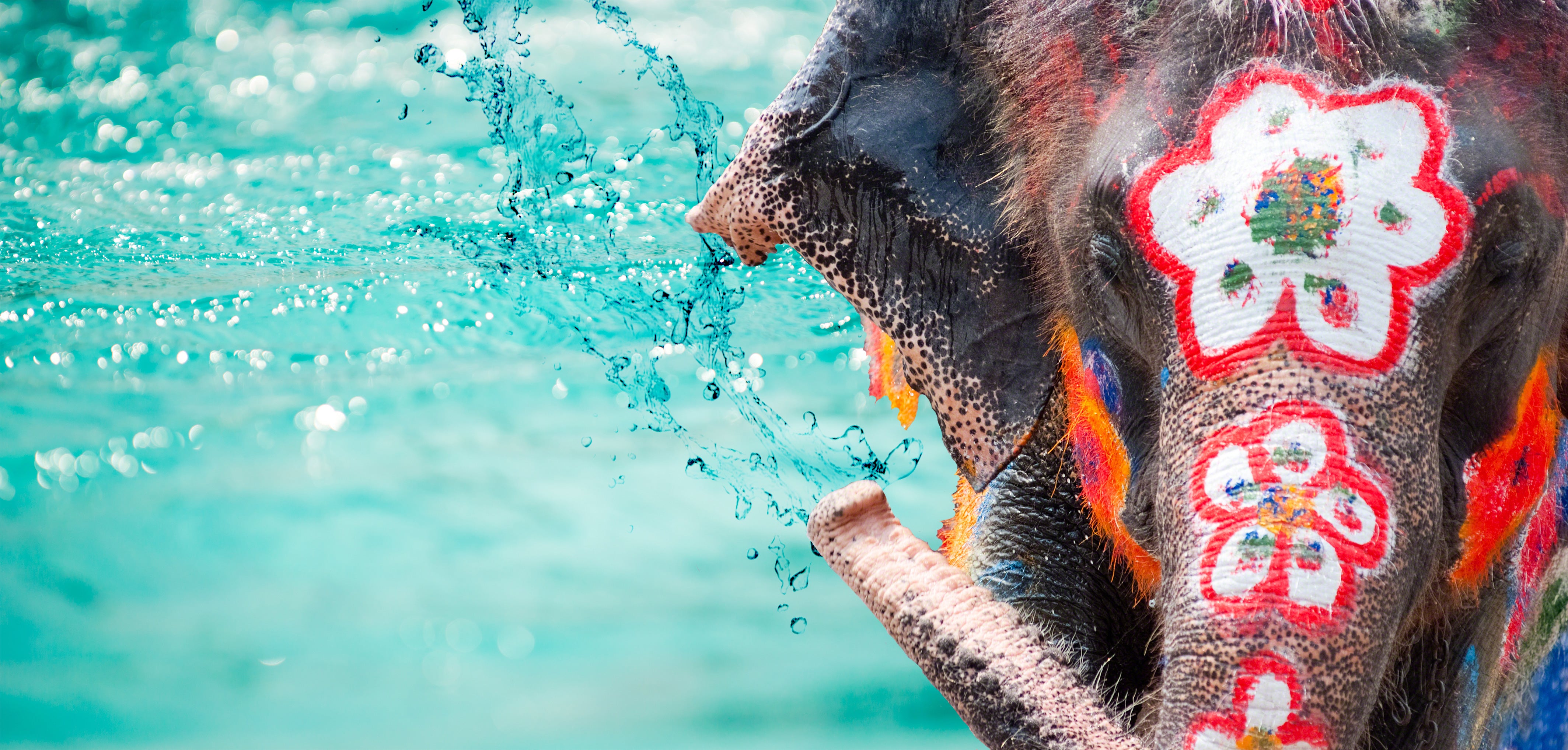 Introducing Thailand's Festival of Renewal: Songkran – SenSpa