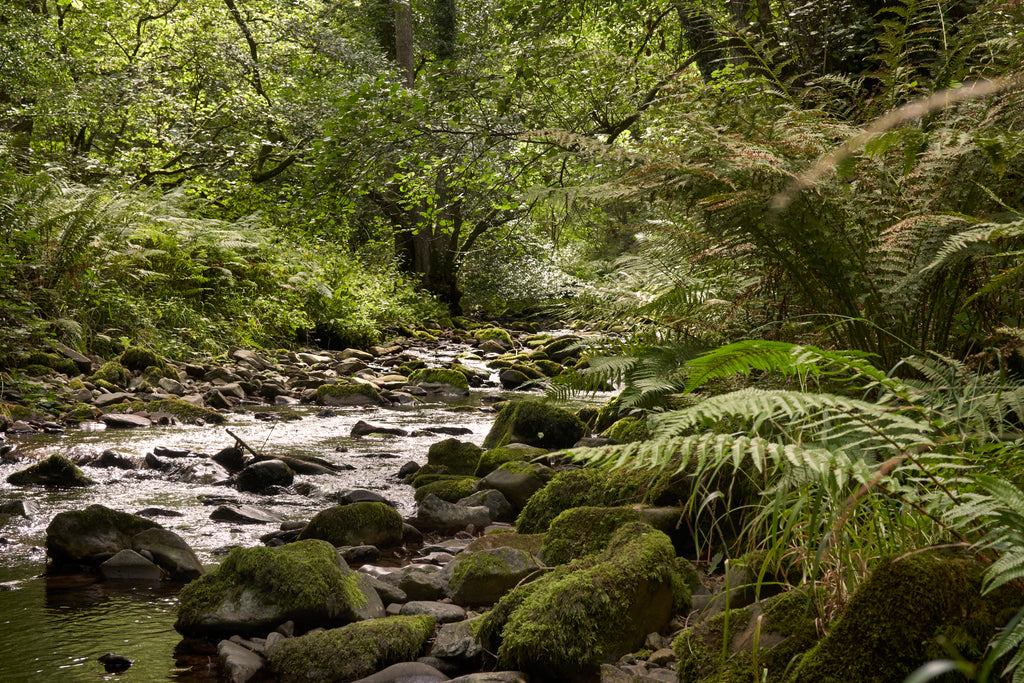 SenSpa - New Forest Spa & Award-Winning Natural Products
