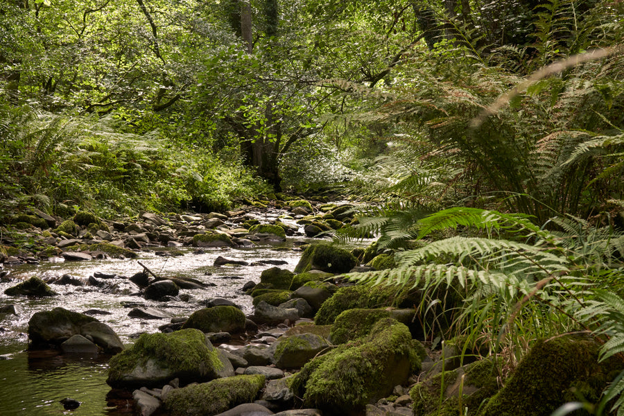 SenSpa - New Forest Spa & Award-Winning Natural Products